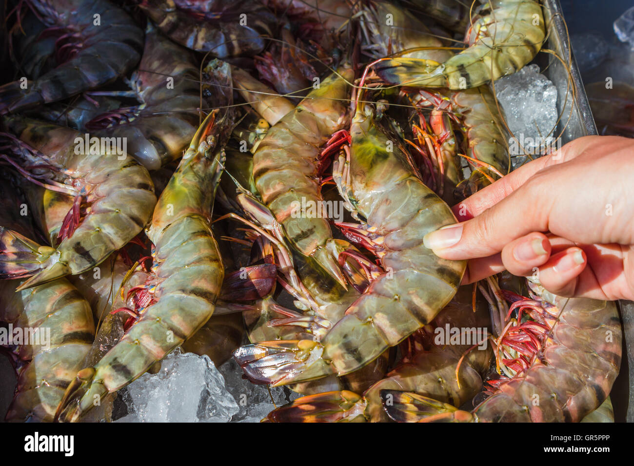 Shrimp other seafood market hi-res stock photography and images - Alamy