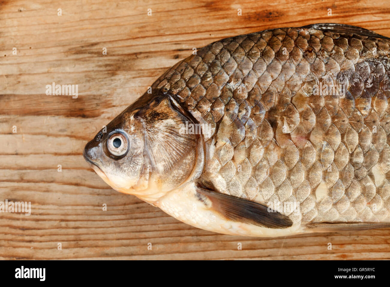 Carp tail hi-res stock photography and images - Alamy