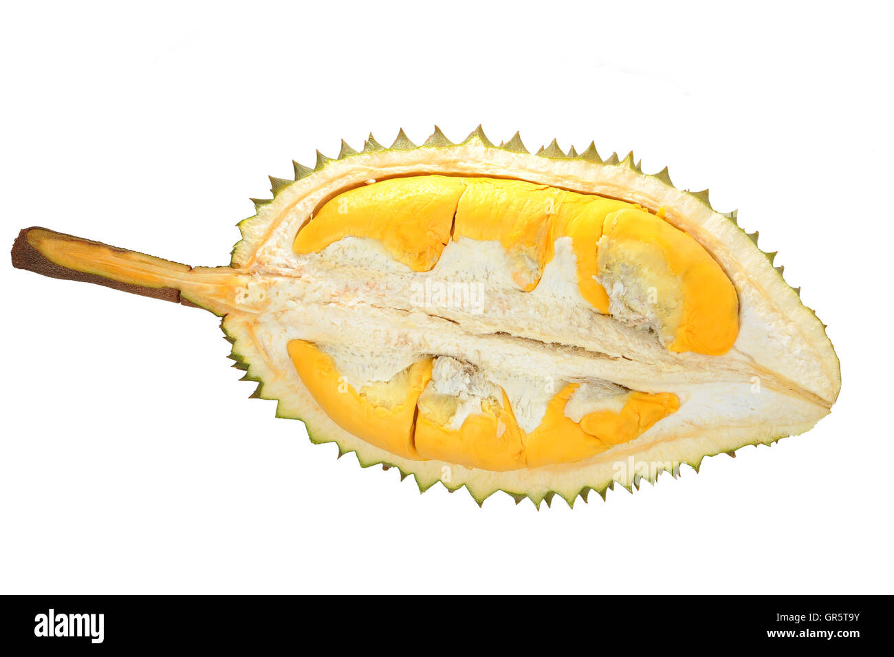 Cross section the fruit the durian hi-res stock photography and images ...