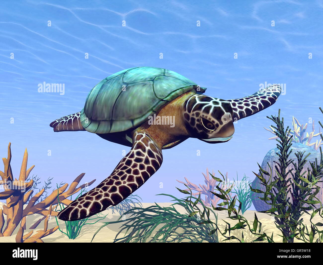 3d digital render sea turtle hi-res stock photography and images - Alamy