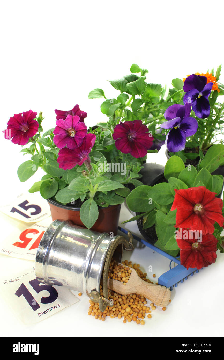 Slow release hi-res stock photography and images - Alamy