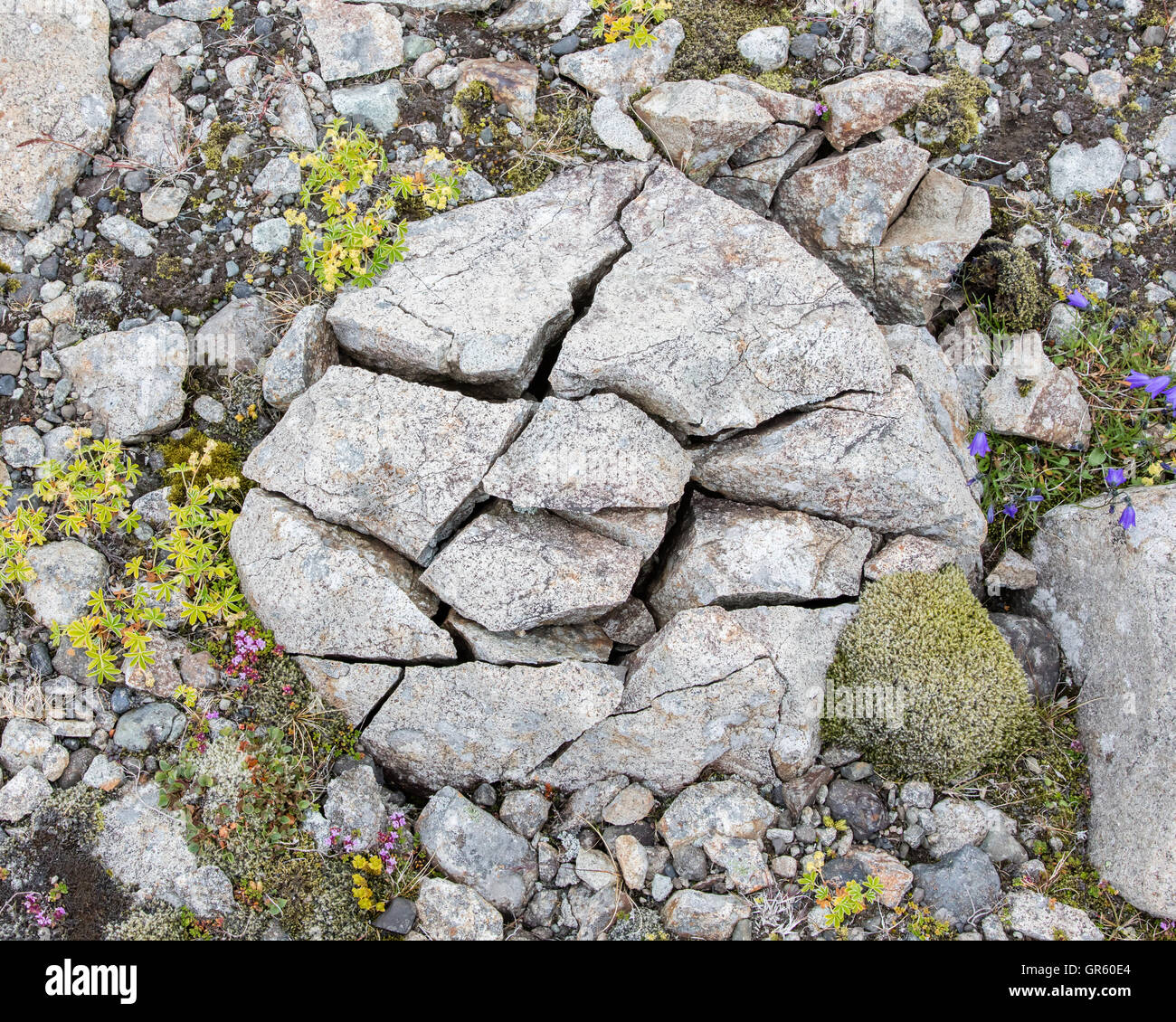 Frost leaves Destructive Patterns in a Stone, Iceland Stock Photo - Alamy