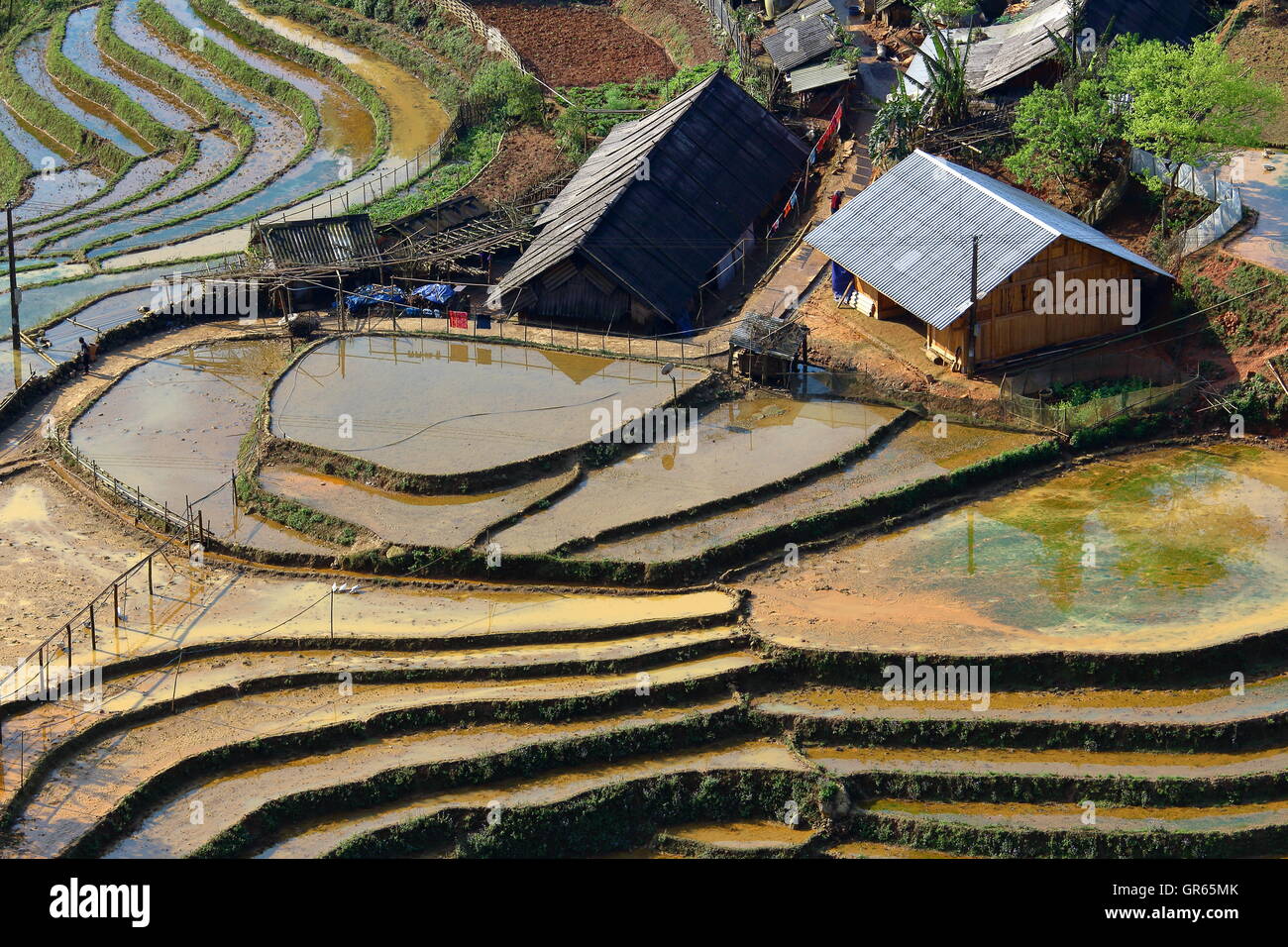 Terrace rice fields hi-res stock photography and images - Alamy