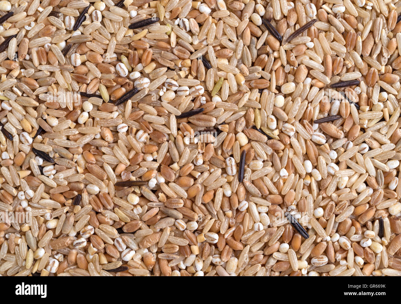A very close view of several varieties of rice and grains Stock Photo ...