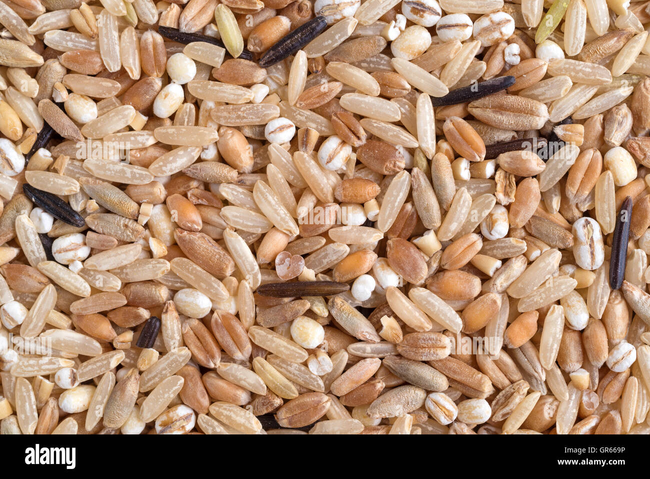 A very close view of several varieties of rice and grains Stock Photo ...