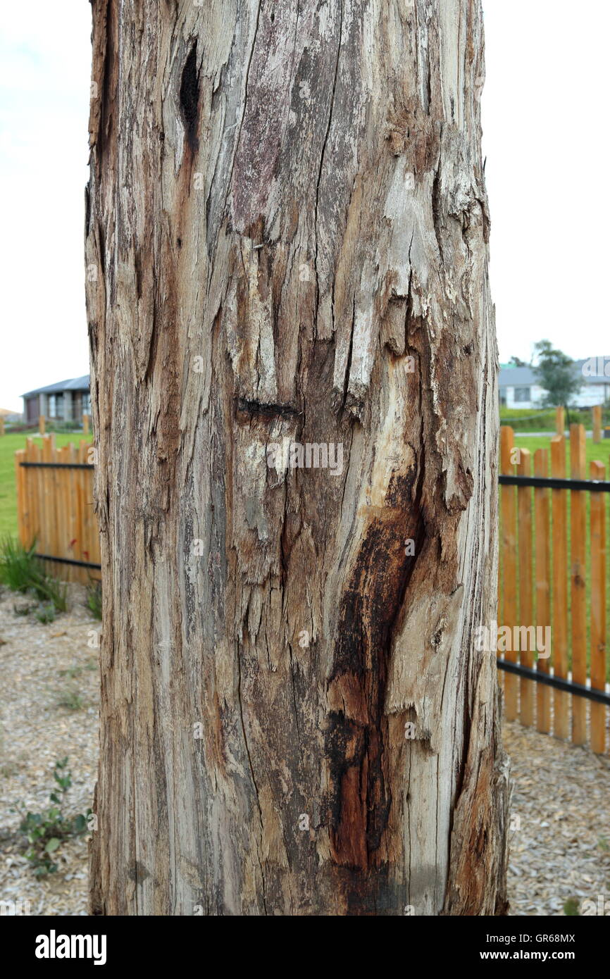 Decorate tree trunk hi-res stock photography and images - Alamy