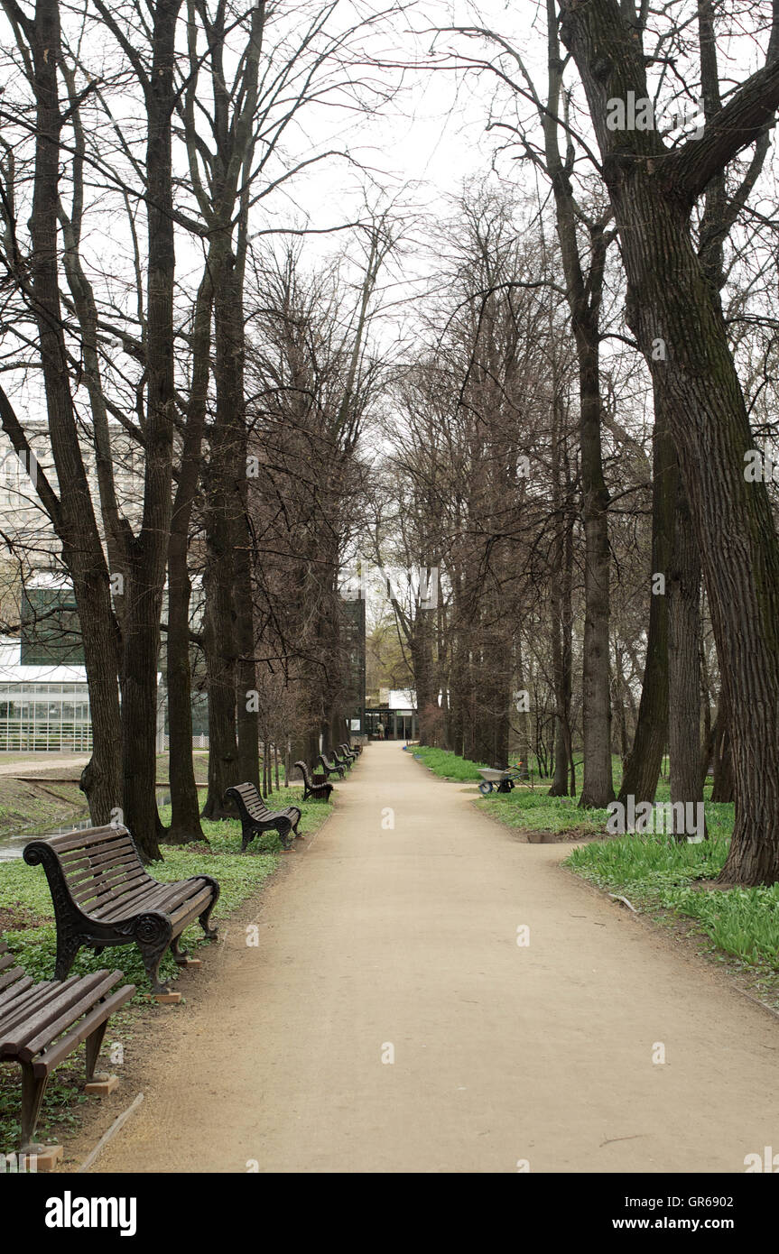 Empty path with benches in a row Stock Photo - Alamy