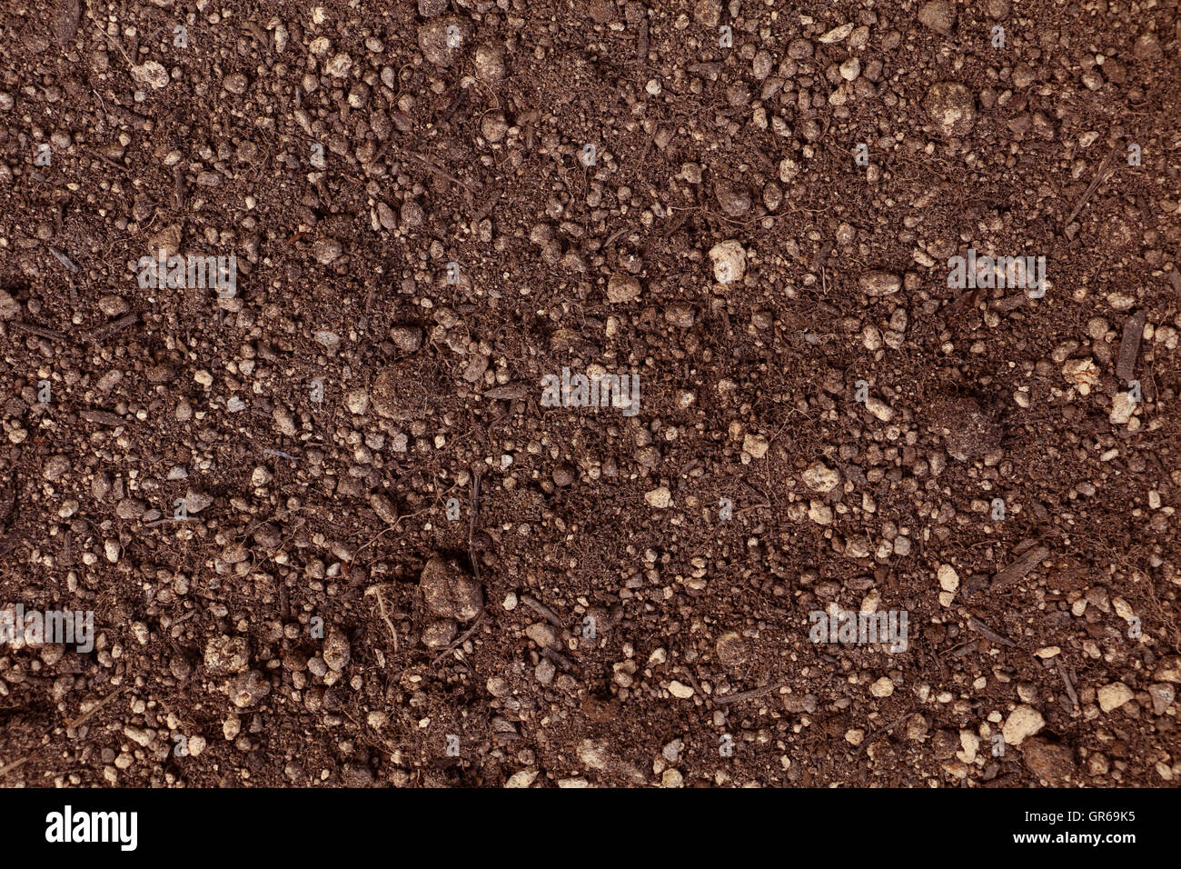 Rich Soil Texture
