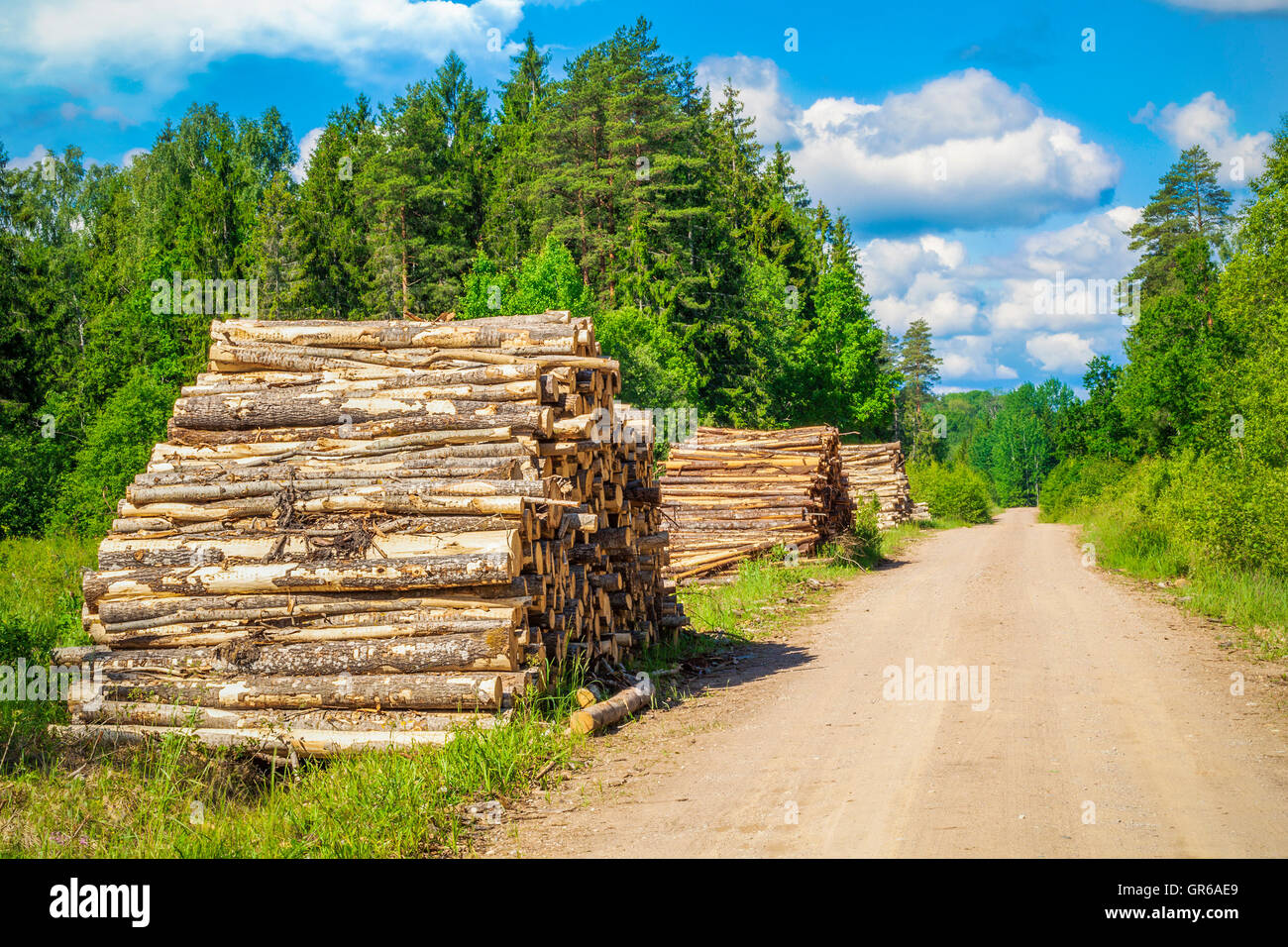 Bole road hi-res stock photography and images - Alamy