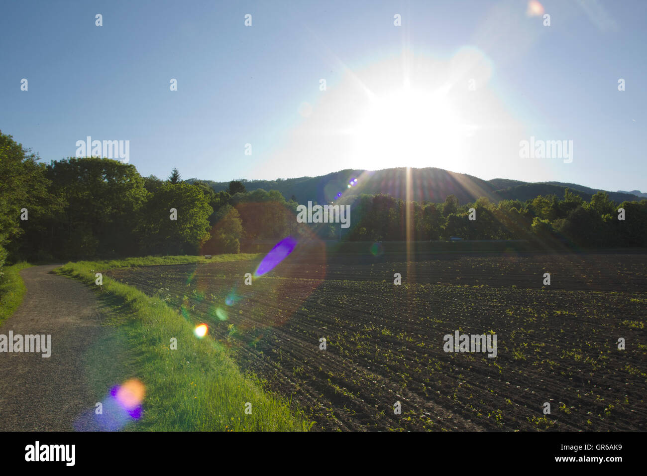 Sun Rise In Spring Stock Photo - Alamy
