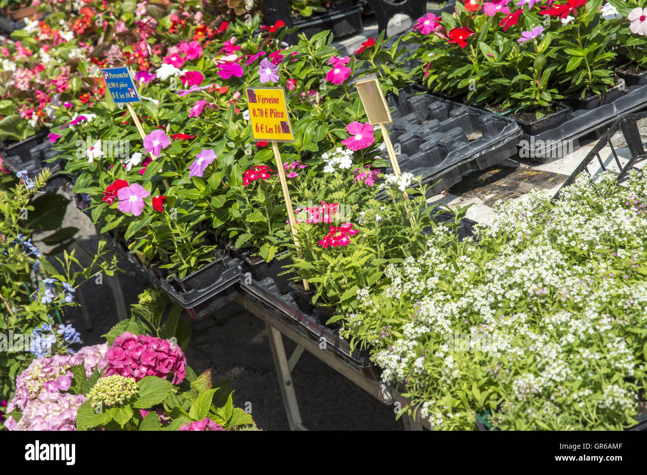 Plant mechanic hi-res stock photography and images - Alamy