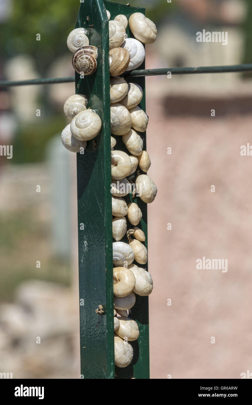 Worm housing hi-res stock photography and images - Alamy