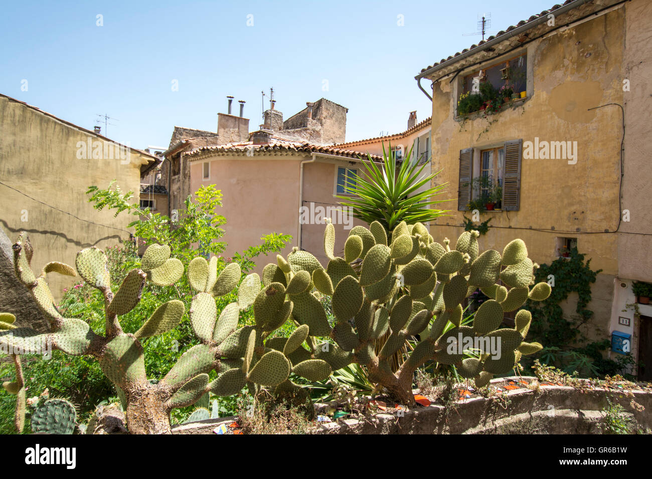 Cacti house hi-res stock photography and images - Alamy