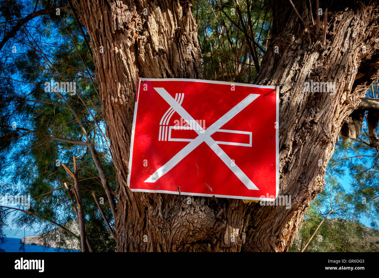 No Smoking Tree High Resolution Stock Photography and Images - Alamy