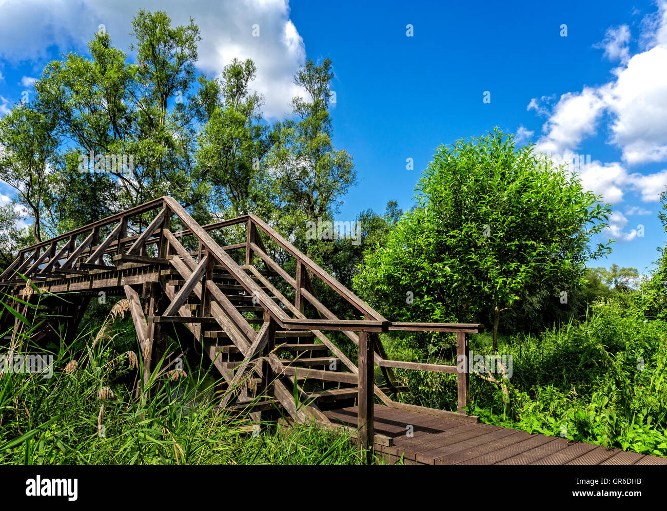 Bridge environmental ecological plants hi-res stock photography and ...