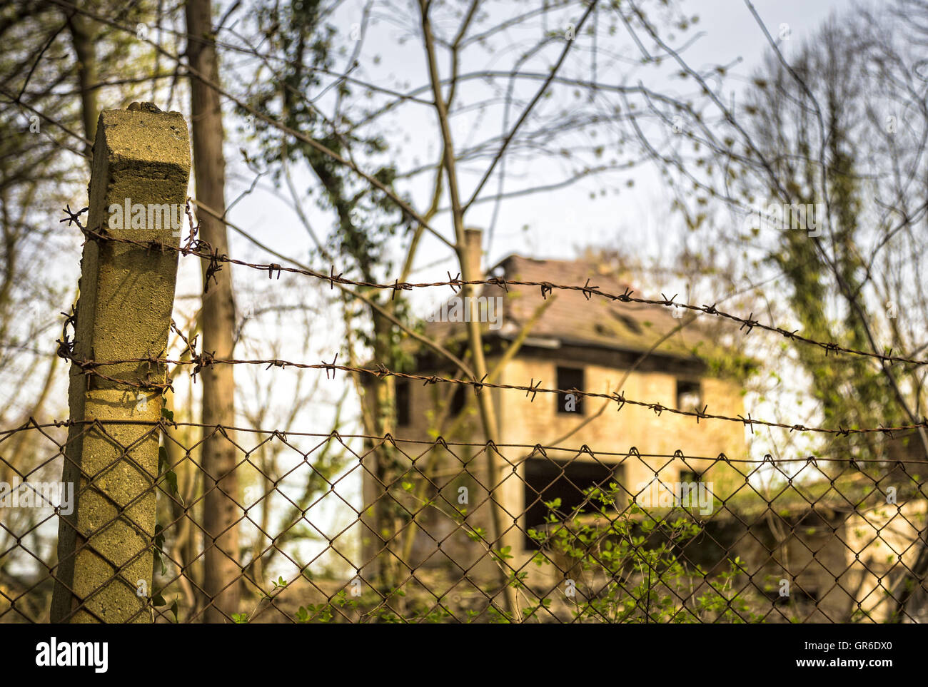 Behind The Barbed Wire Stock Photo - Alamy