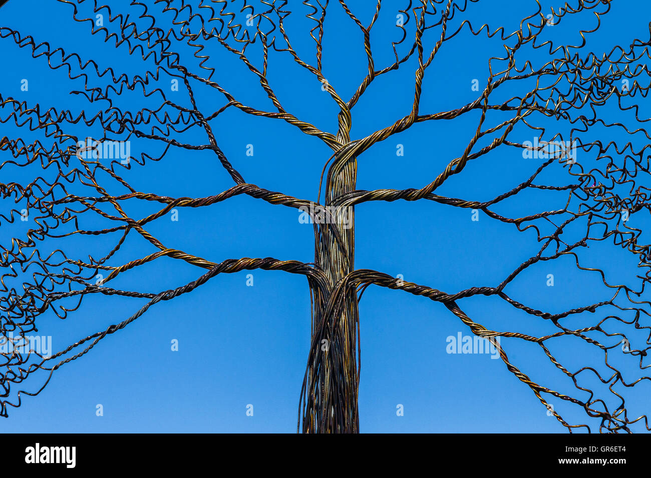 Tree wire handmade detail closeup blue sky Stock Photo - Alamy
