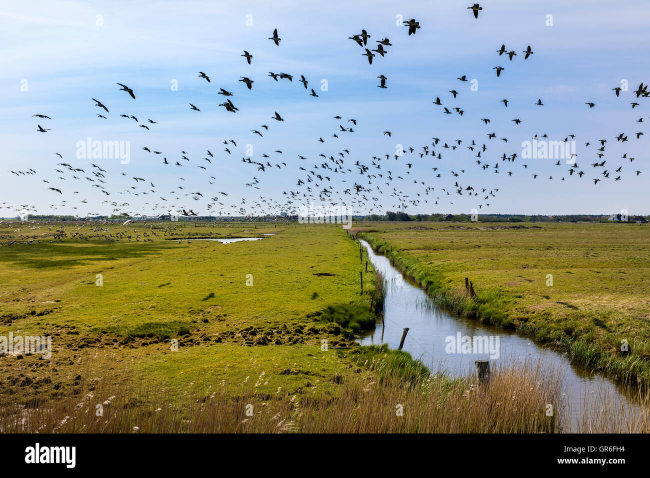 Small rivers and meadows hi-res stock photography and images - Alamy