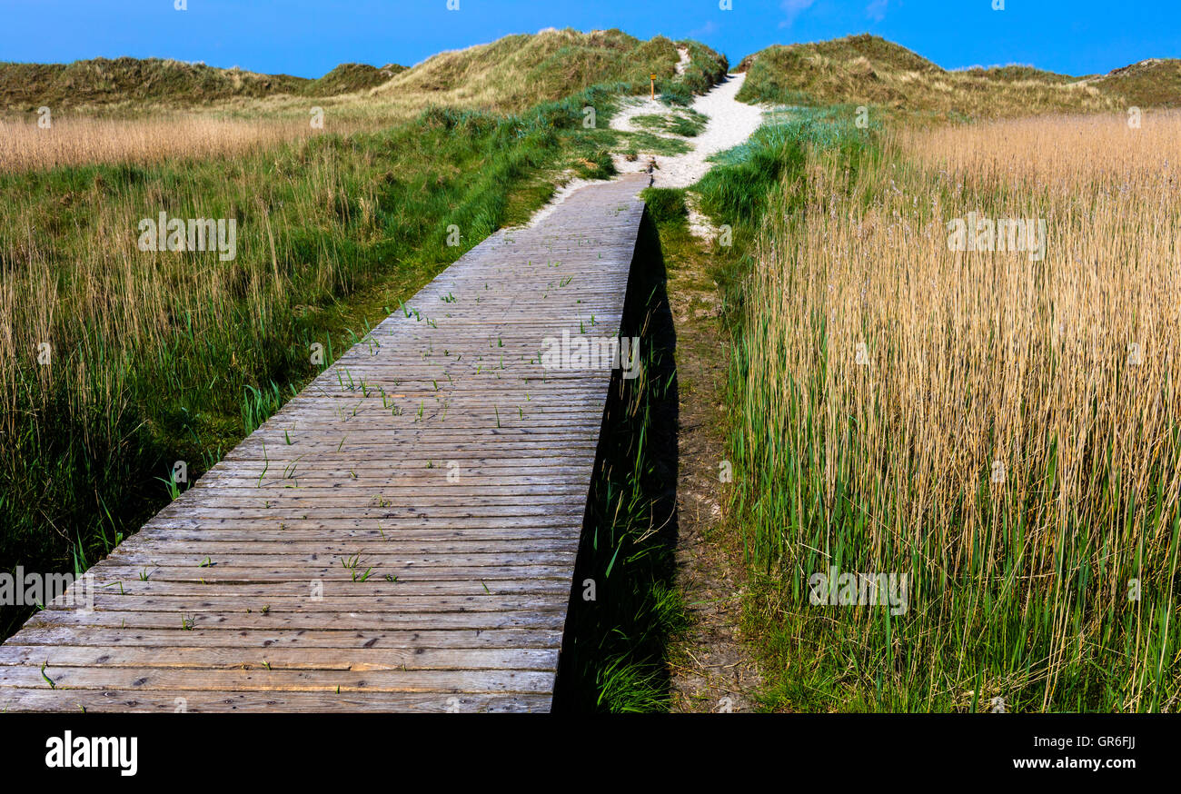 Sandspur beach hi-res stock photography and images - Alamy