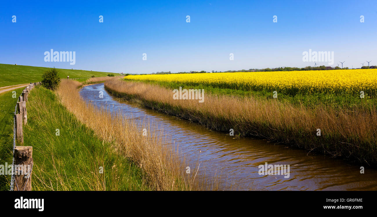 Landscape In North Germany Stock Photo - Alamy