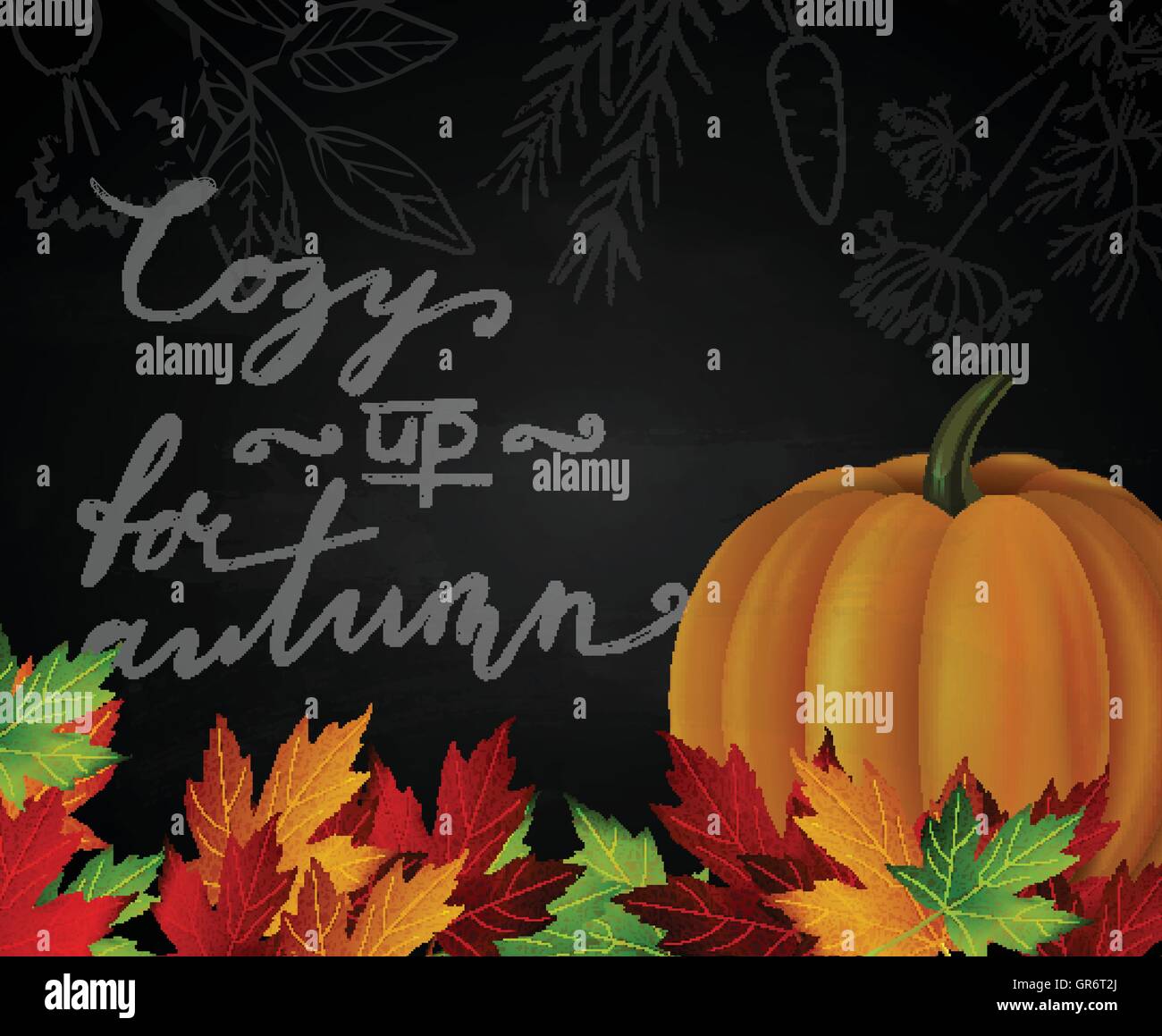 Fall chalkboard background pumpkin Stock Vector Images - Alamy