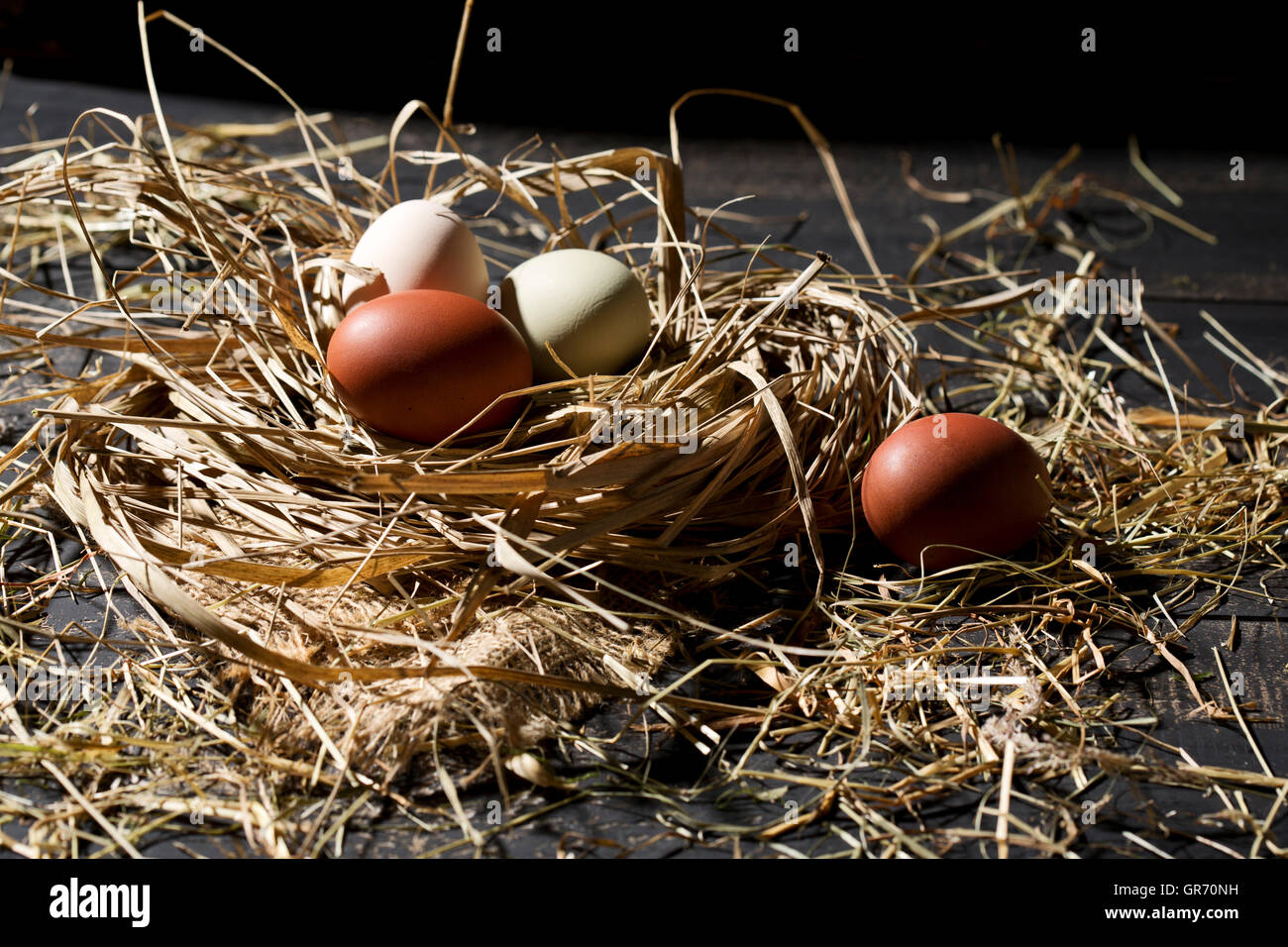 Eggs In A Nest Stock Photo - Alamy