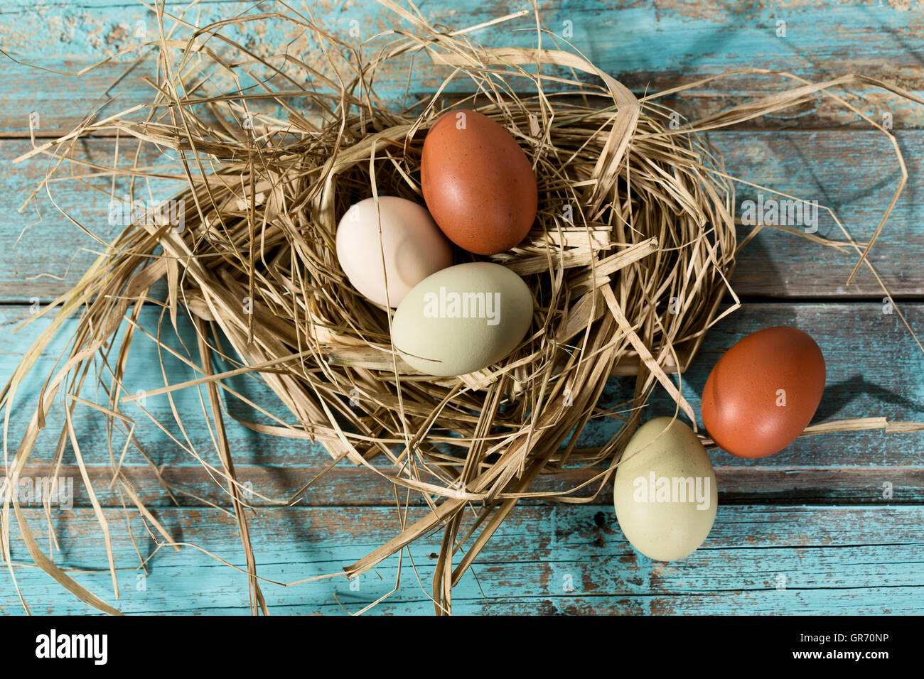 Eggs In A Nest Stock Photo - Alamy