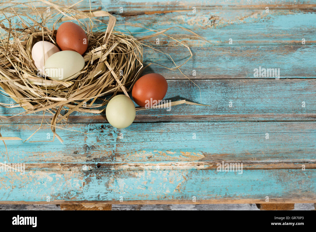 Egg in a frame hi-res stock photography and images - Alamy