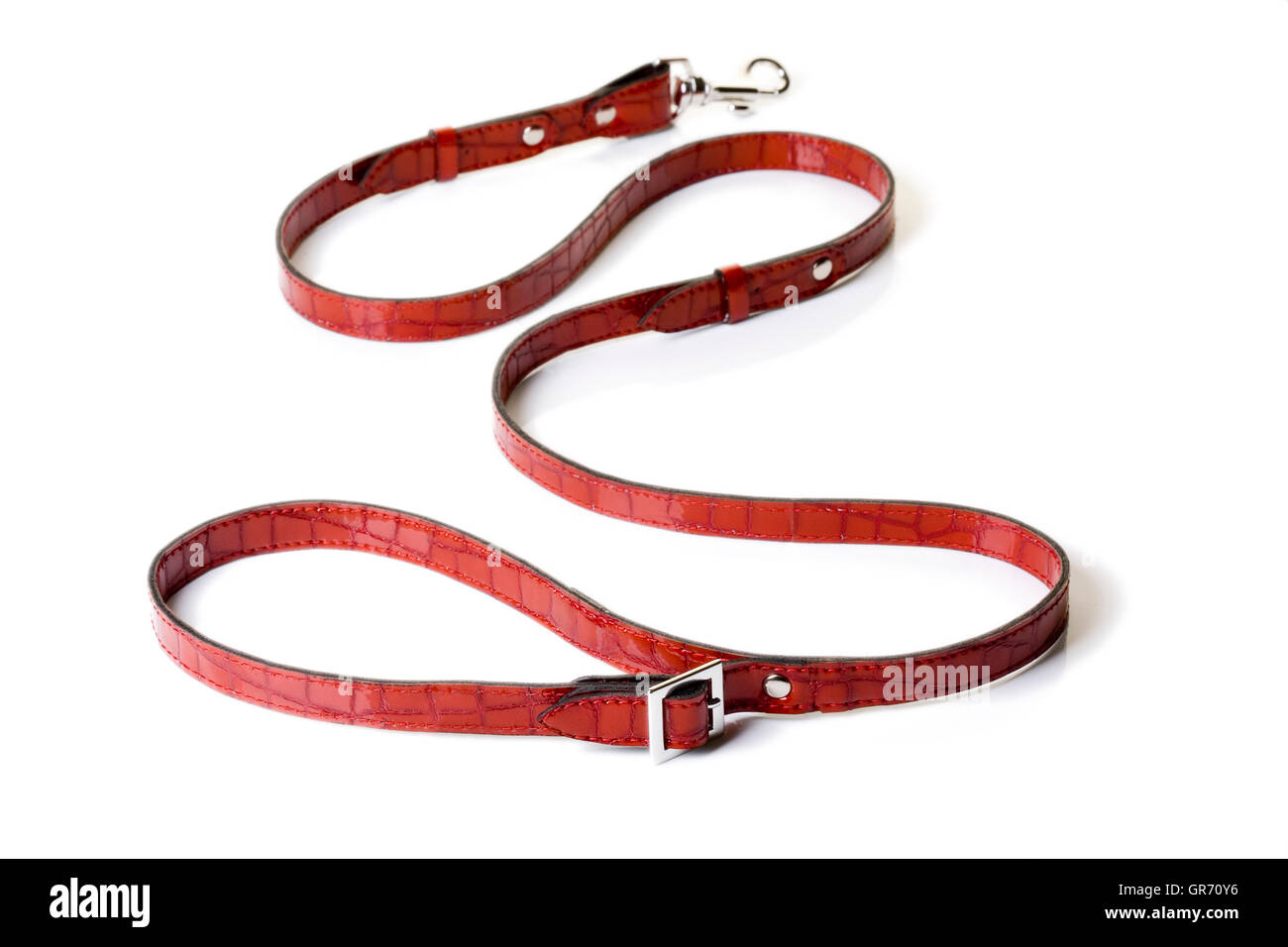 Red Dog Leash Stock Photo - Alamy