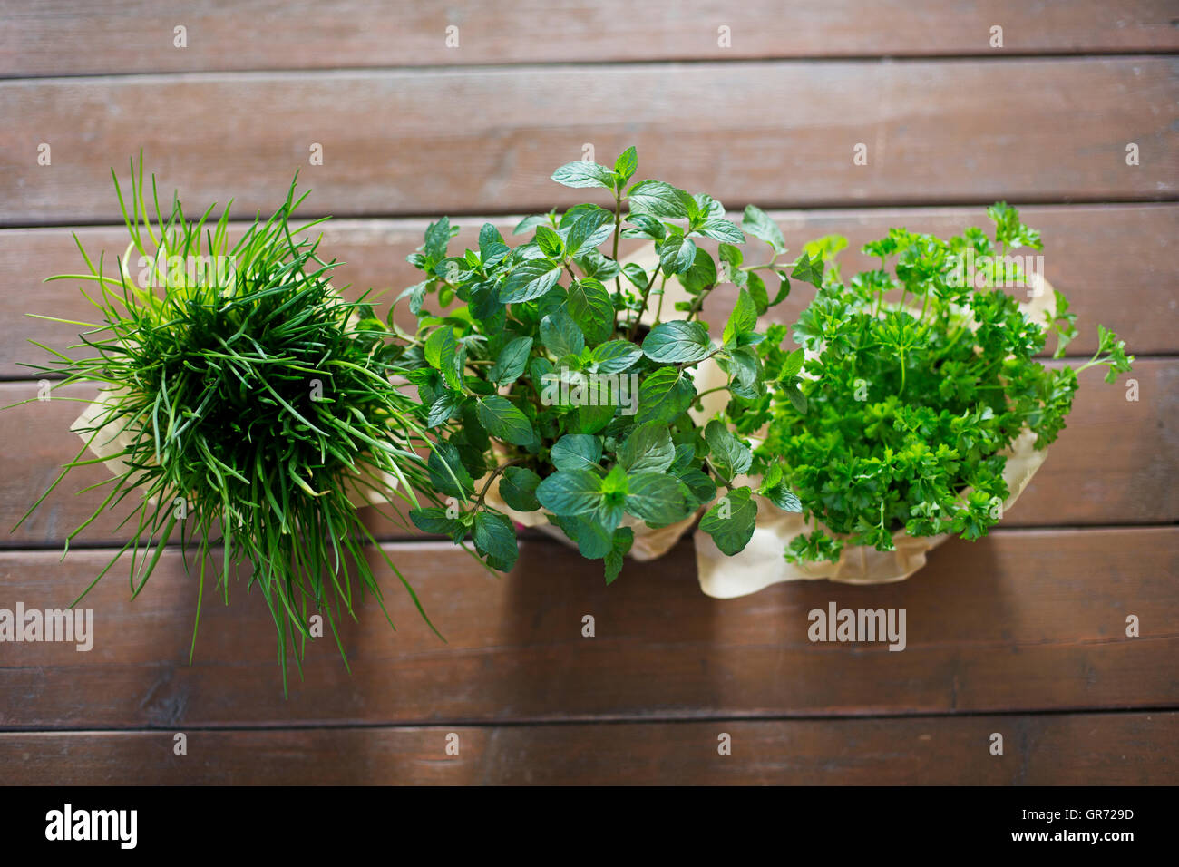 Potted herbs hi-res stock photography and images - Alamy