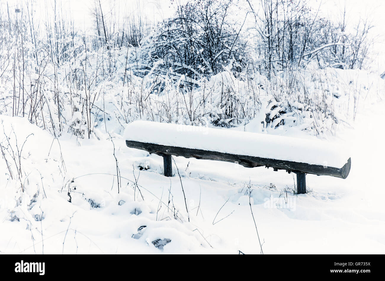 Winter park with bench Stock Photo - Alamy