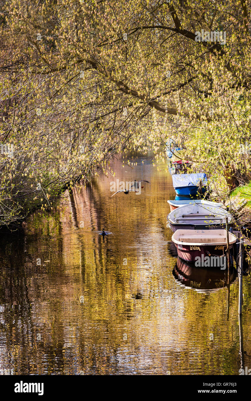 Small Channel In The Water Stock Photo - Alamy