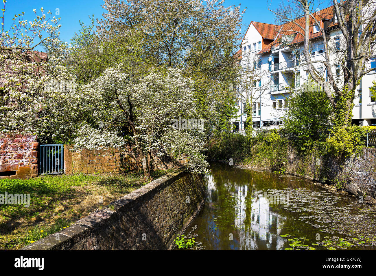 Living At The Lake Stock Photo - Alamy