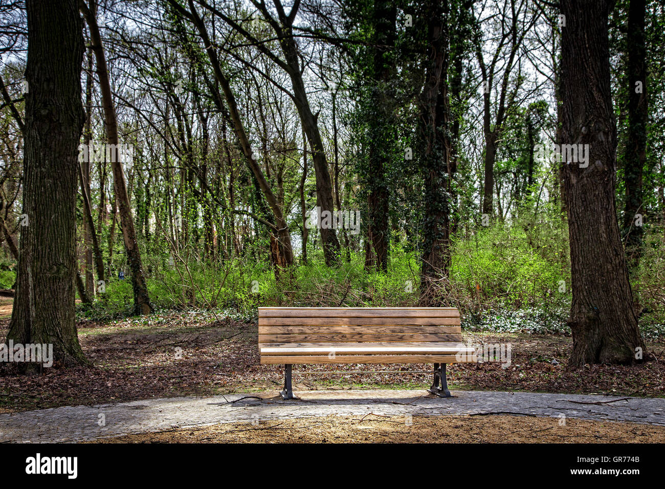 Bench In The Park Stock Photo - Alamy