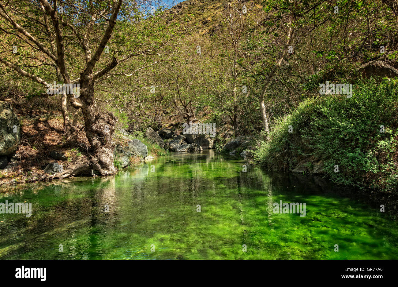 Tarn creek hi-res stock photography and images - Alamy