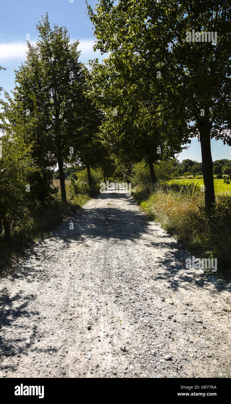 Track Across The Fields Stock Photo - Alamy