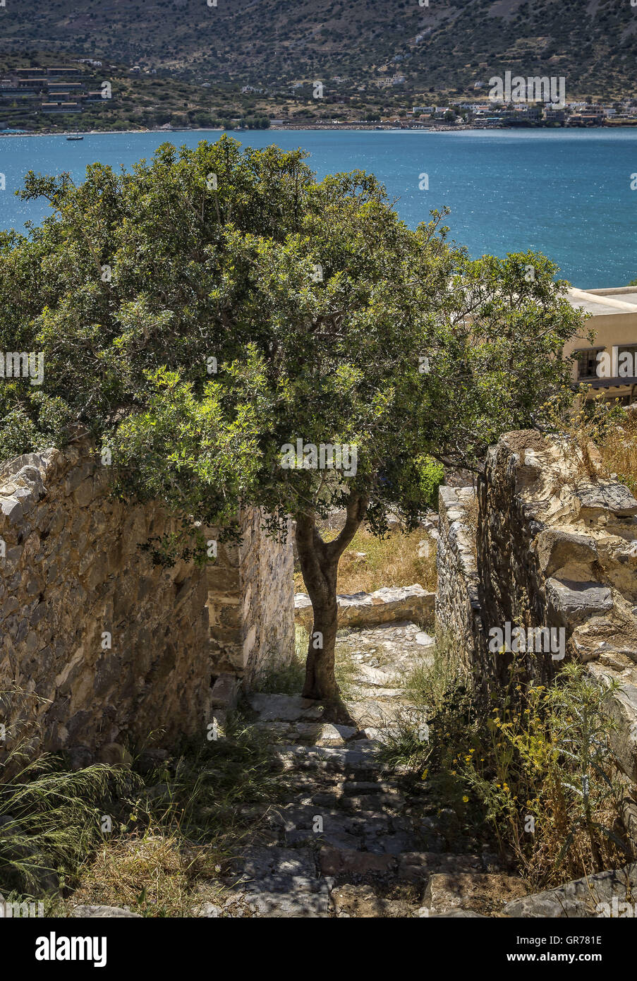 A Fortress With A Tree Stock Photo - Alamy