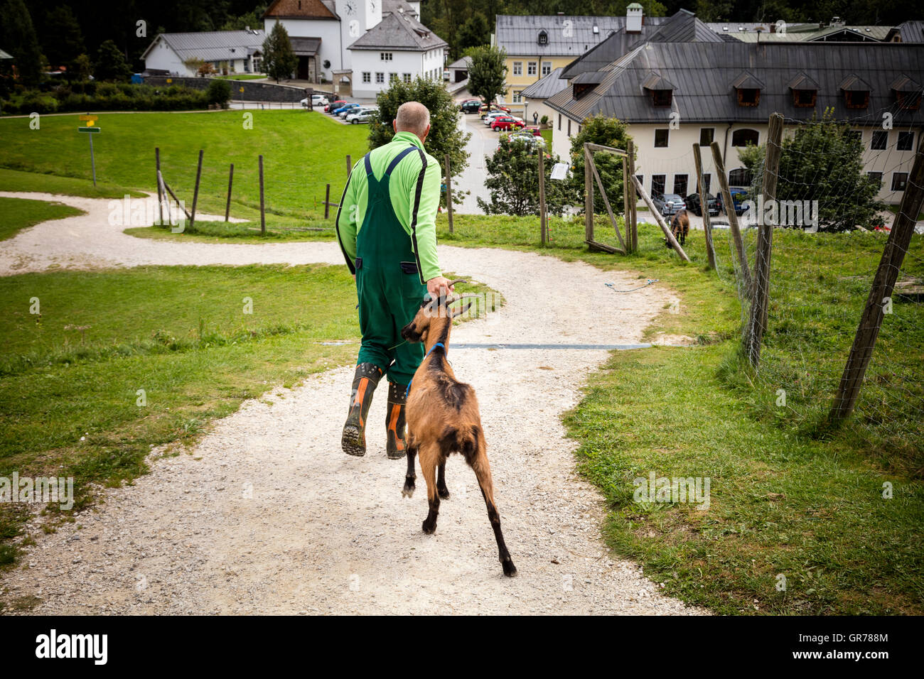 Ancient goat rituals hi-res stock photography and images - Alamy