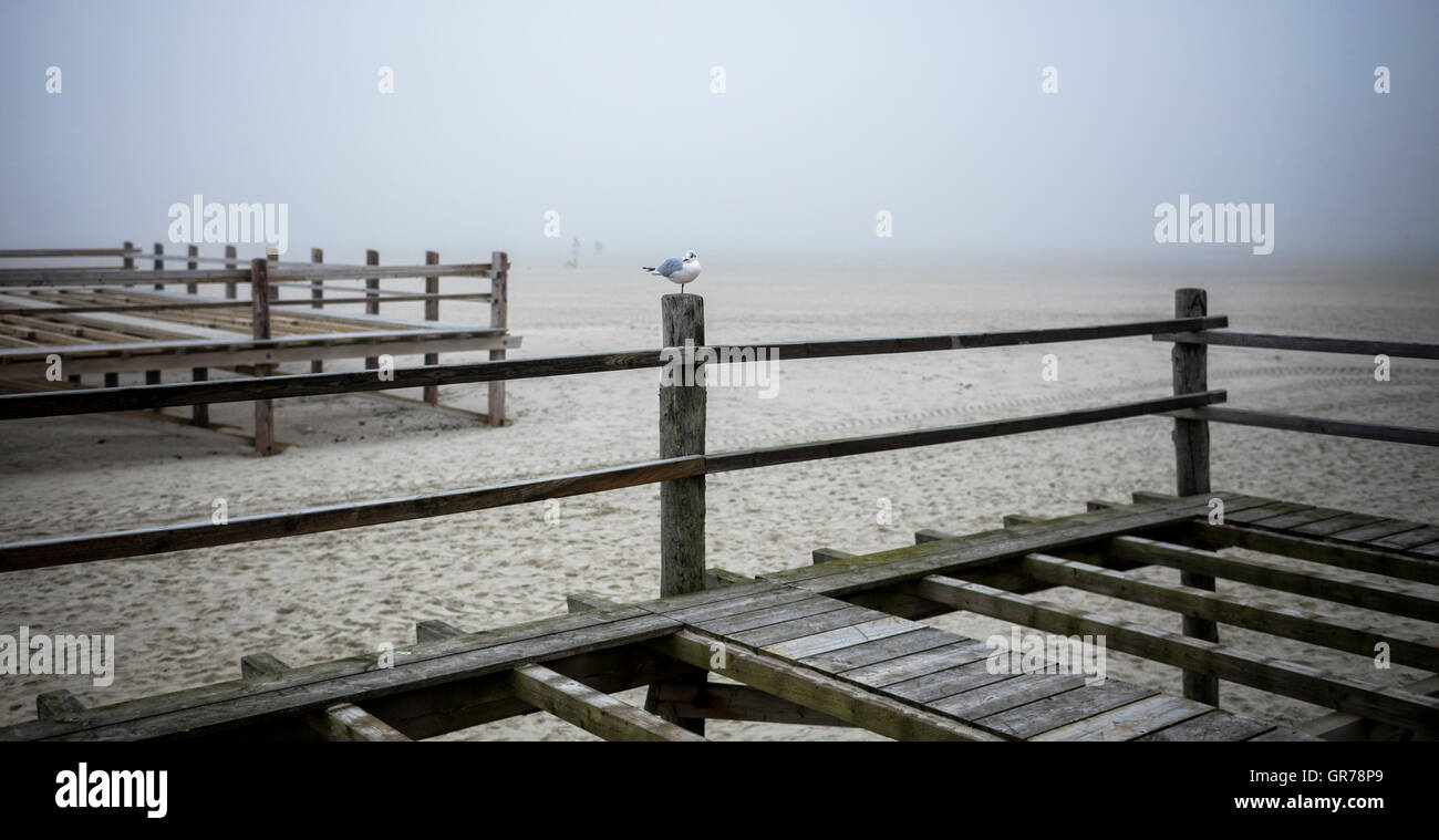Platform On The Beach Stock Photo - Alamy
