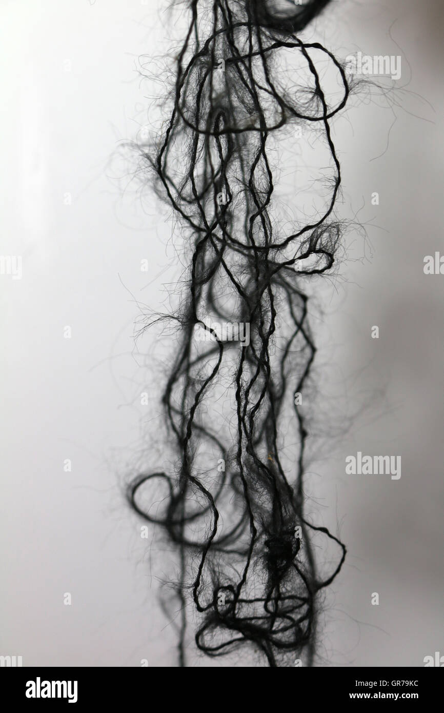 Black wool hi-res stock photography and images - Alamy