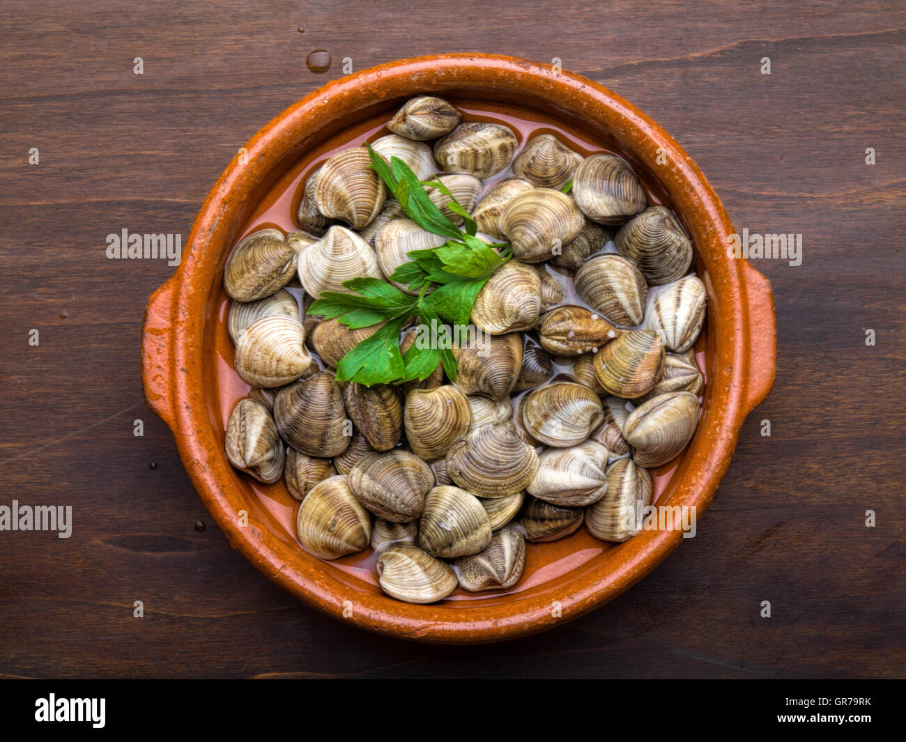 Alive Seashell High Resolution Stock Photography and Images - Alamy