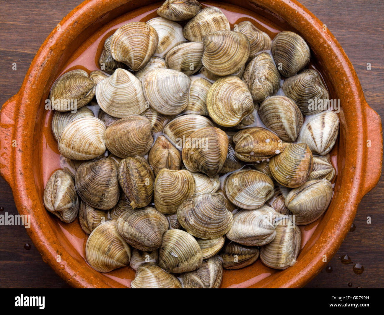 Living Uncooked Calms, Seashell Stock Photo - Alamy