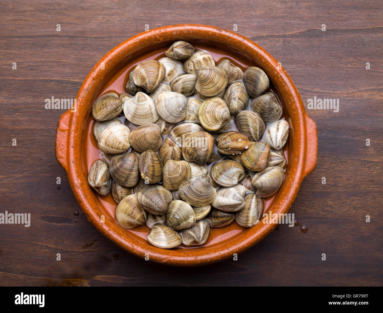 Alive Seashell High Resolution Stock Photography and Images - Alamy