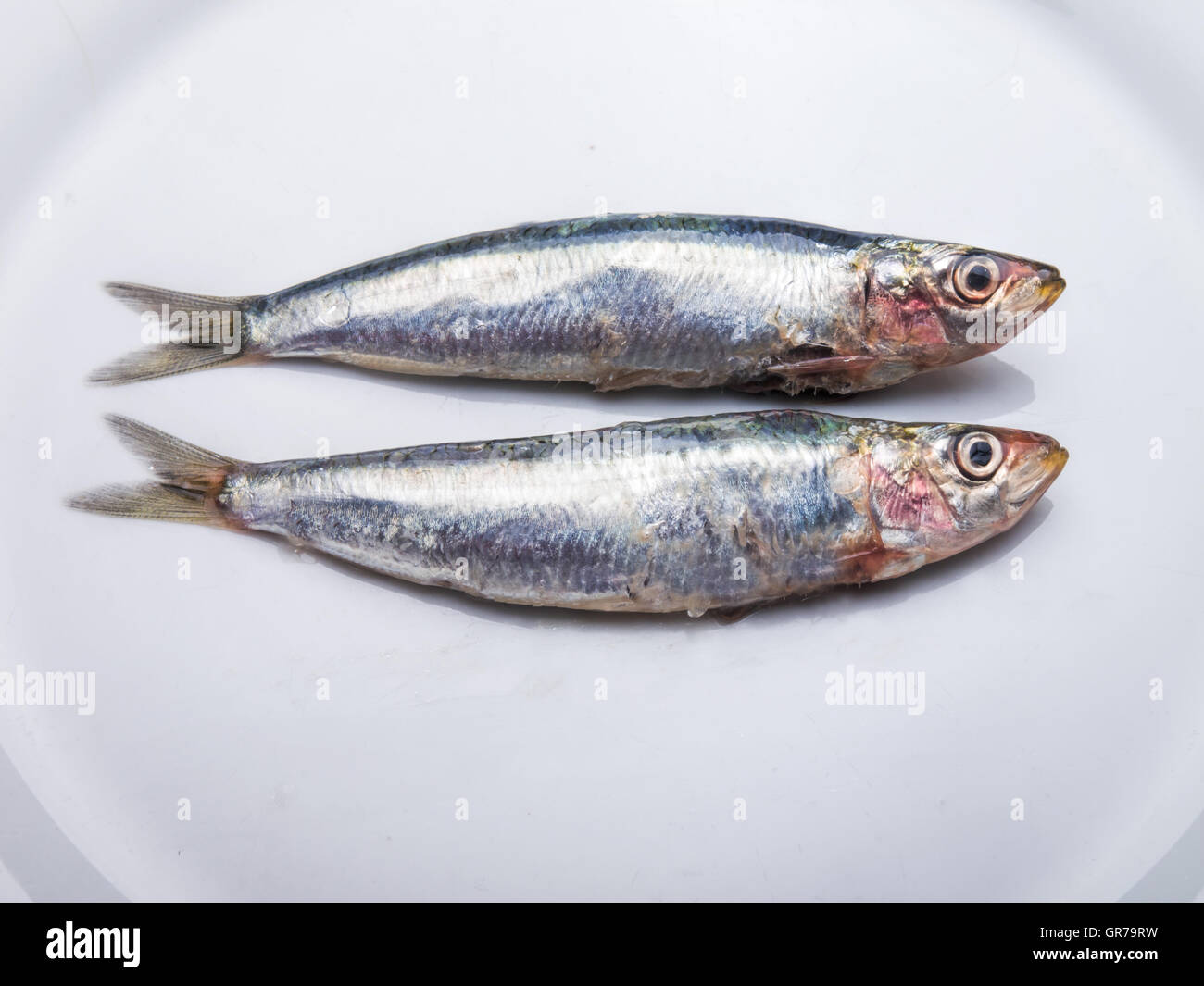 Sardines hi-res stock photography and images - Alamy