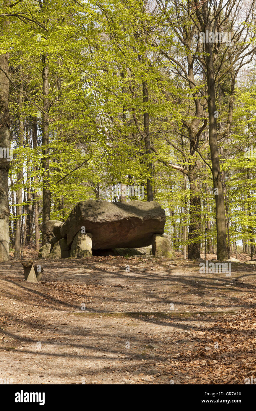 Neolithic Passage Grave, Megalithic Stones In Osnabrueck-Haste ...