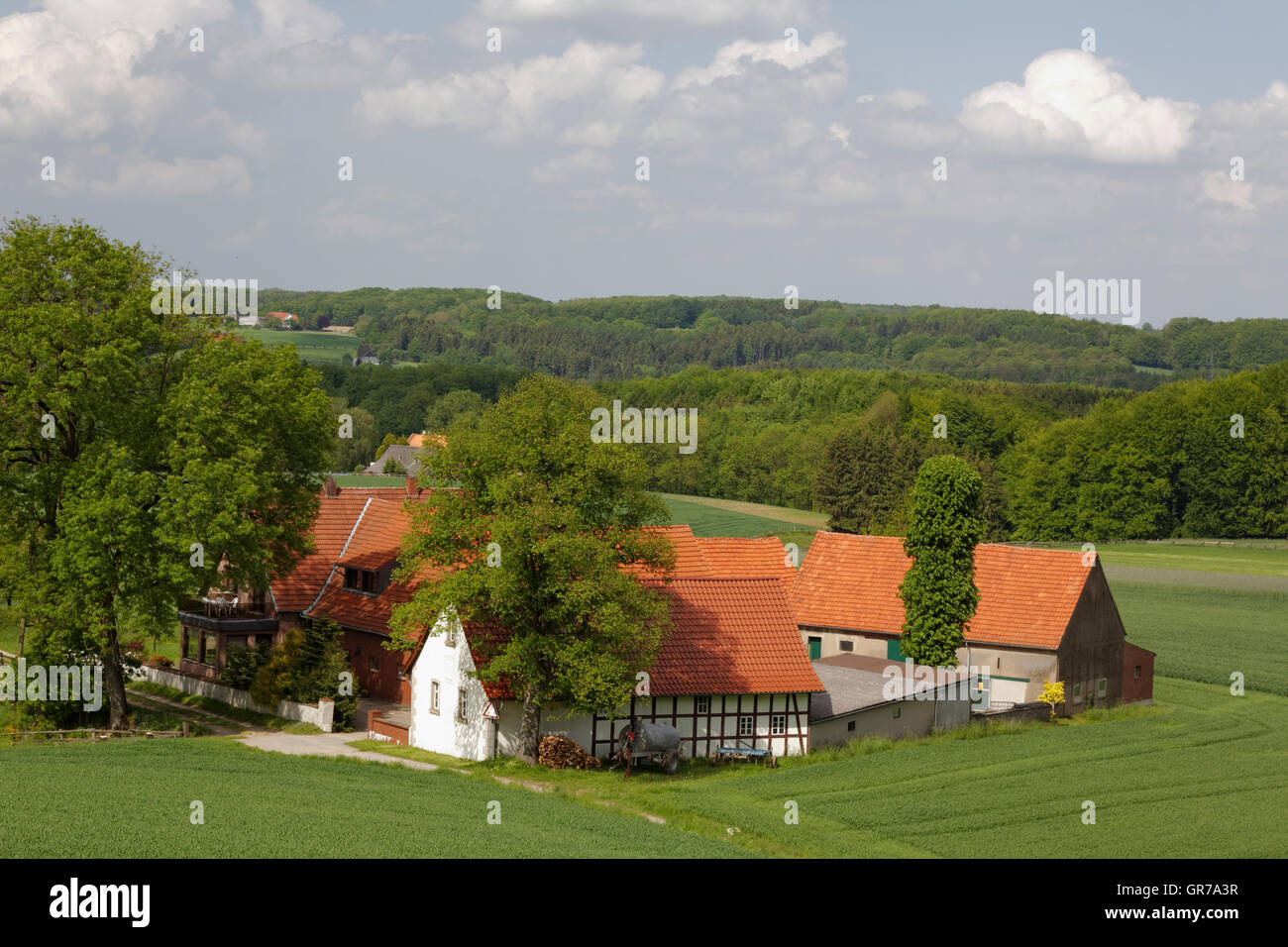 Lower saxony farm hi-res stock photography and images - Alamy