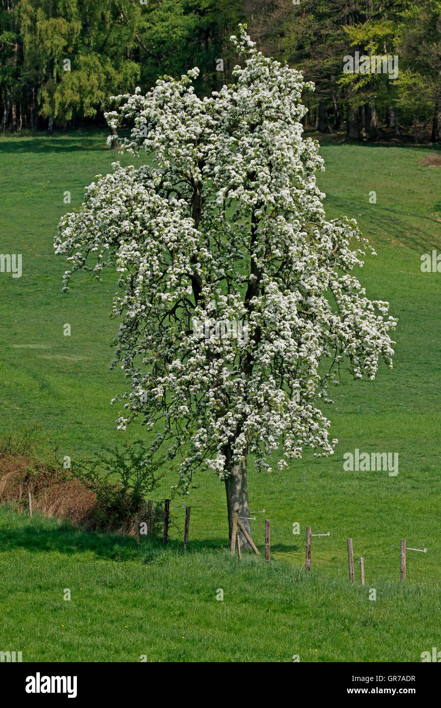 Europe in april hi-res stock photography and images - Alamy