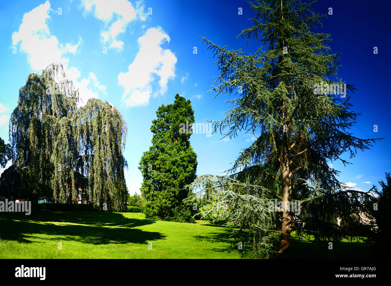 Am kurpark hi-res stock photography and images - Alamy