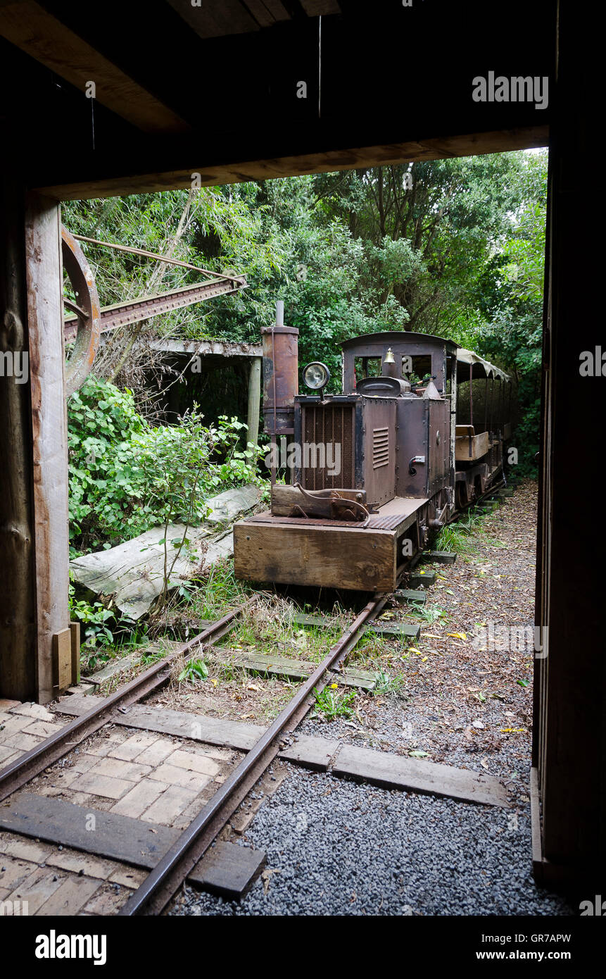 Diesel locomotive on Tawhiti Bush Railway at Tawhiti Museum, Hawera ...