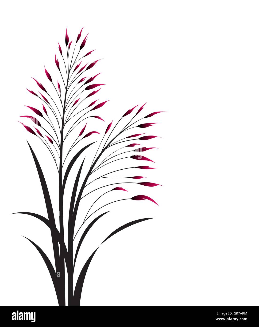 Decorative grass Stock Vector Images - Alamy